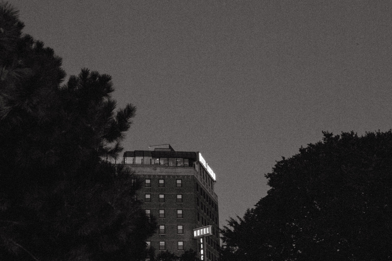 Film Grain vs. Digital Noise - Anissa D. Photography